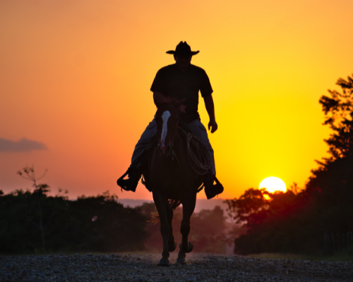 Care and Use of a Stockwhip - Saddlery Trading