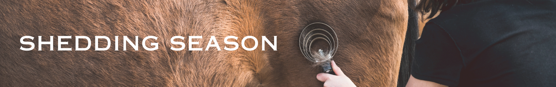 Horse Shedding Season Essentials - Saddlery Trading