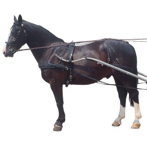 Horse Driving and Harness Equipment for training or pleasure - Saddlery ...