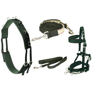 Range of Lunging and Training Equipment for your Horse or Pony ...