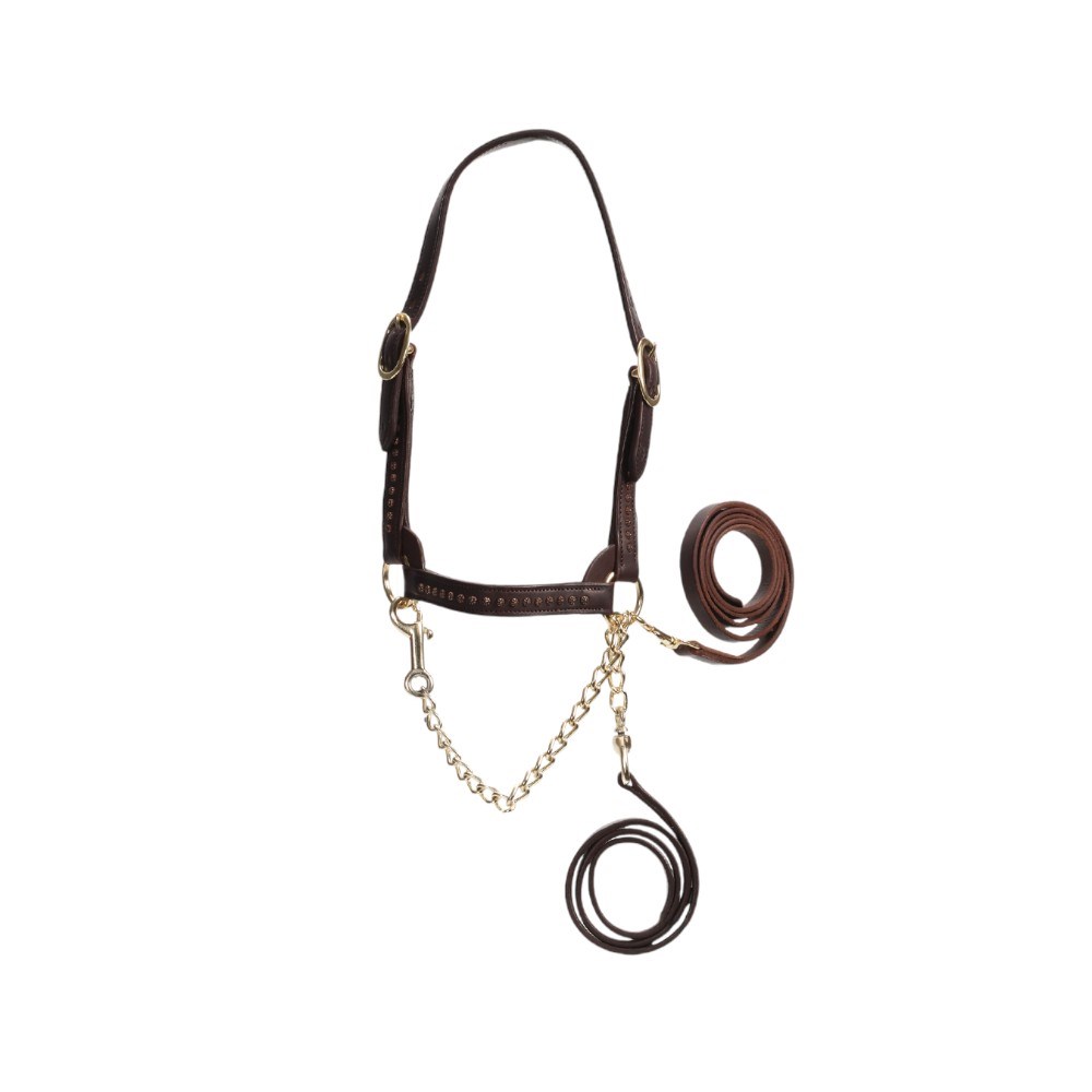 Product Categories - Saddlery Trading