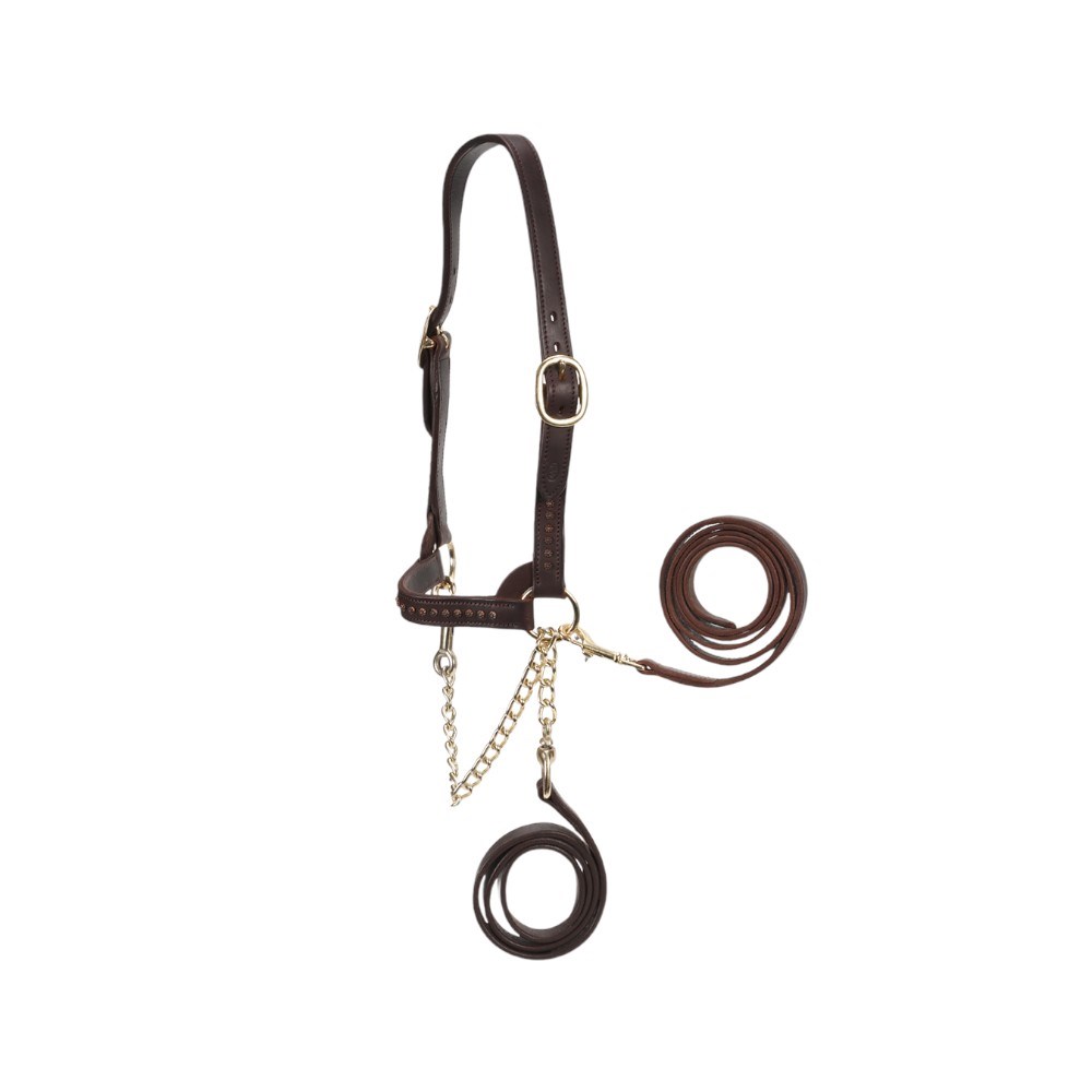 Product Categories - Saddlery Trading