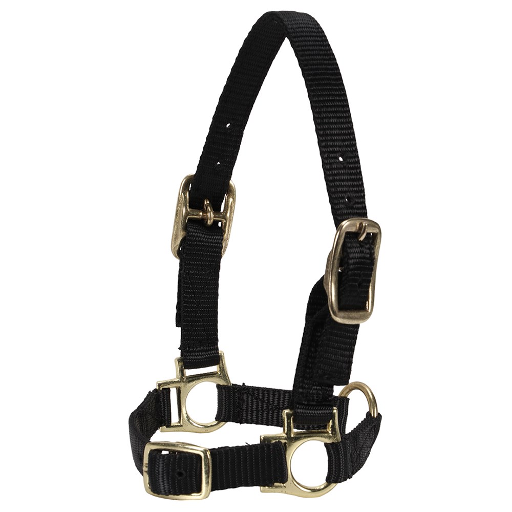 Product Categories - Saddlery Trading