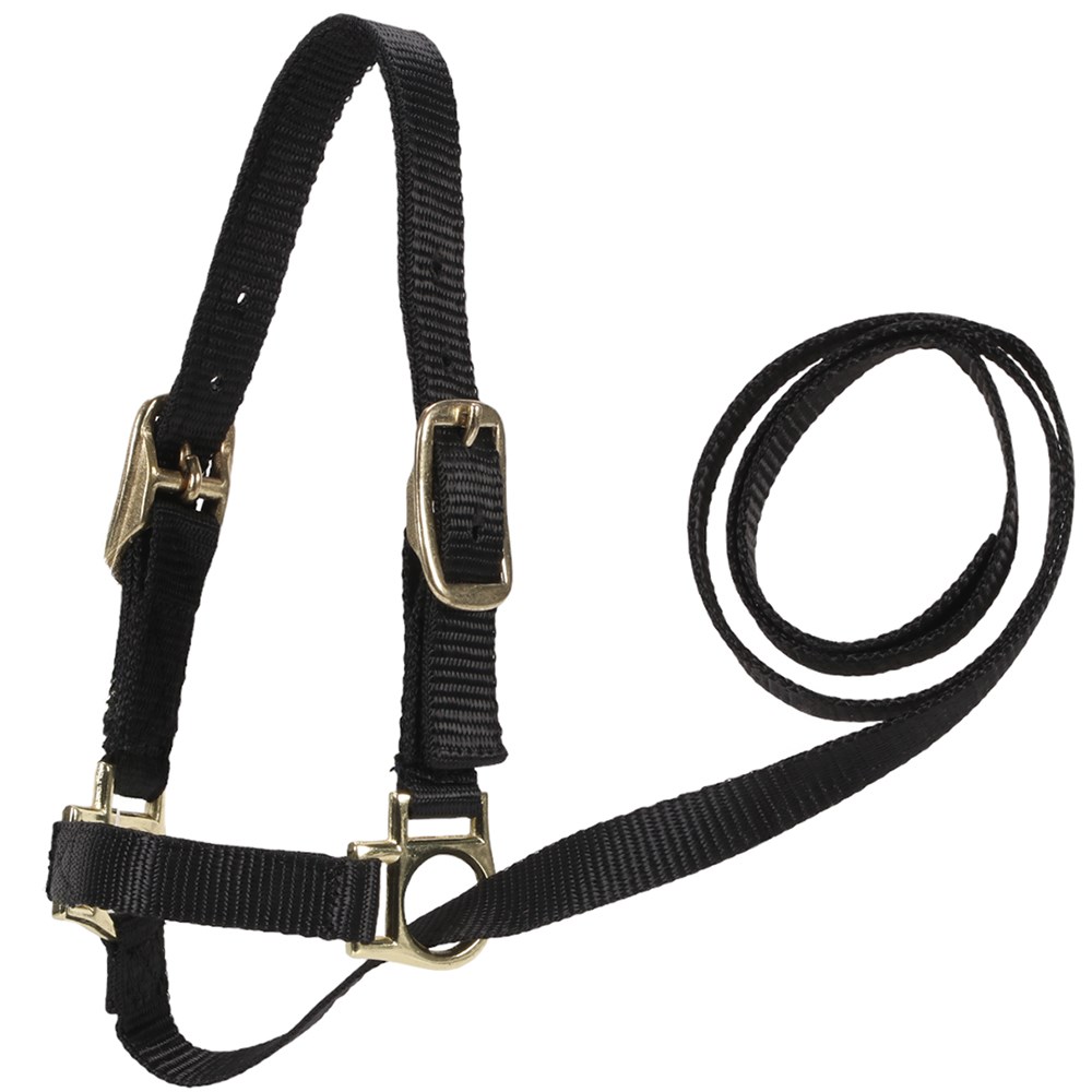 Product Categories - Saddlery Trading