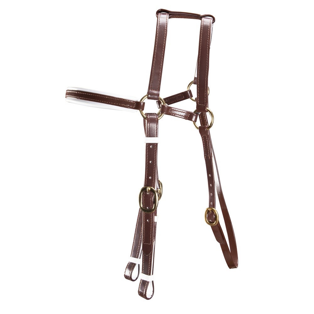 Product Categories - Saddlery Trading
