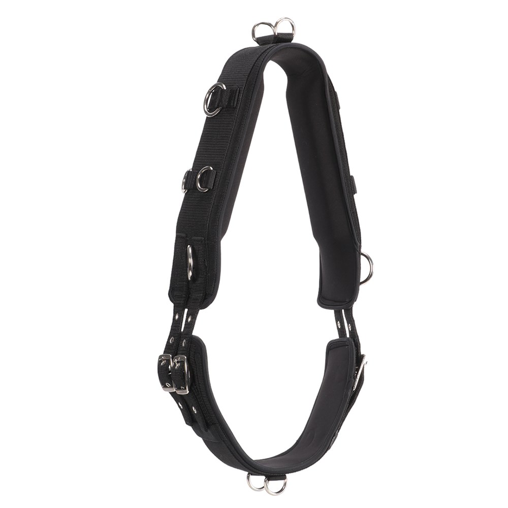 Training Surcingle for Shetland Ponies and Small Ponies | Pony Exercise ...