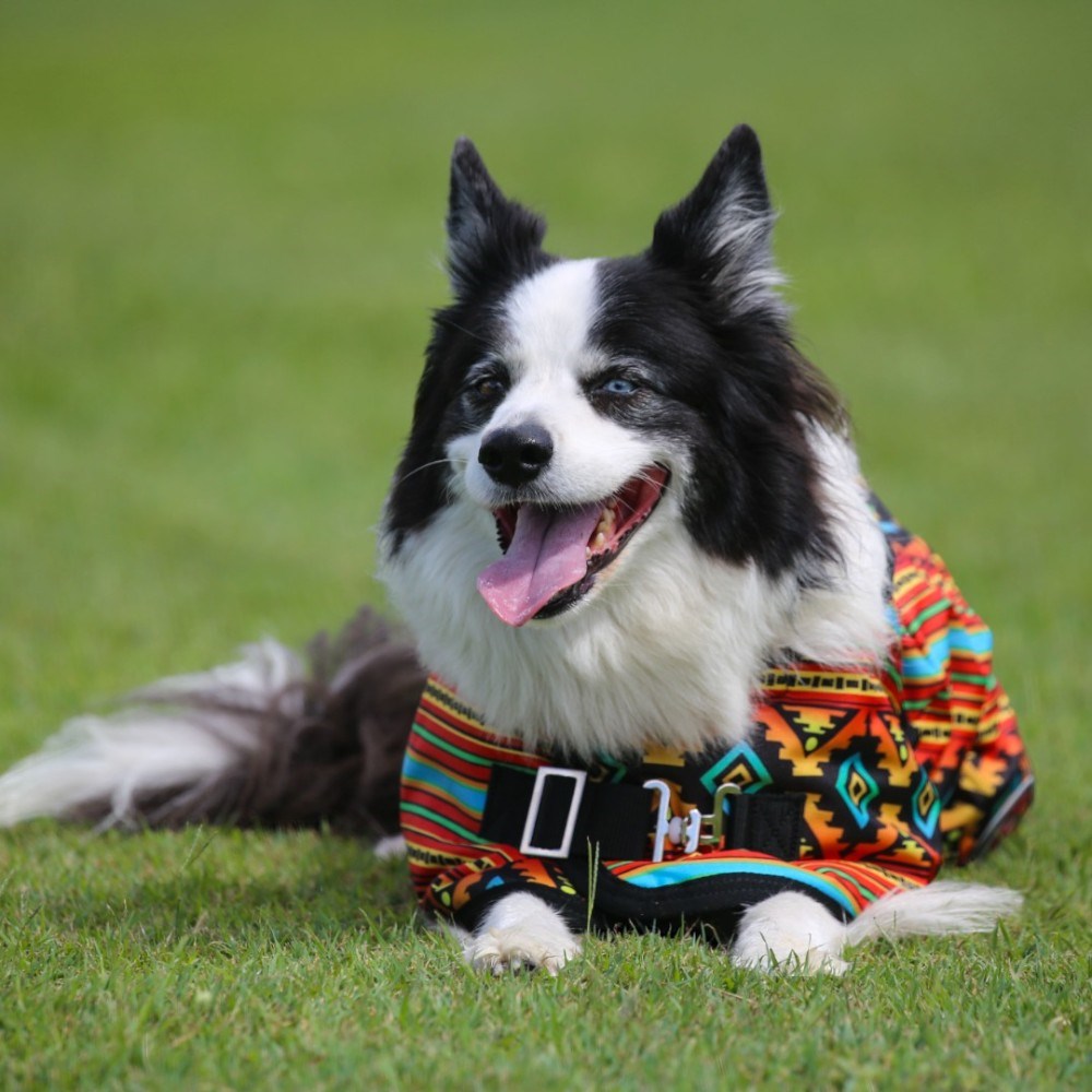 Product Categories - Saddlery Trading