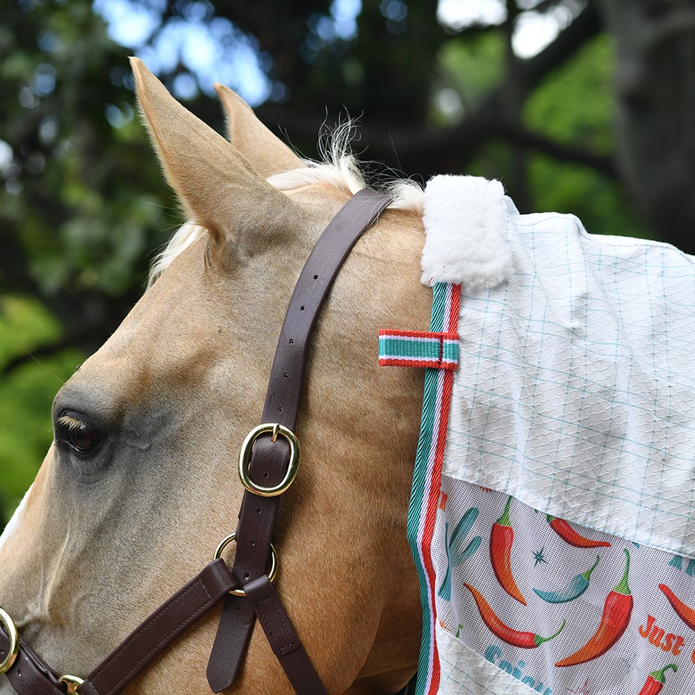 Product Categories - Saddlery Trading