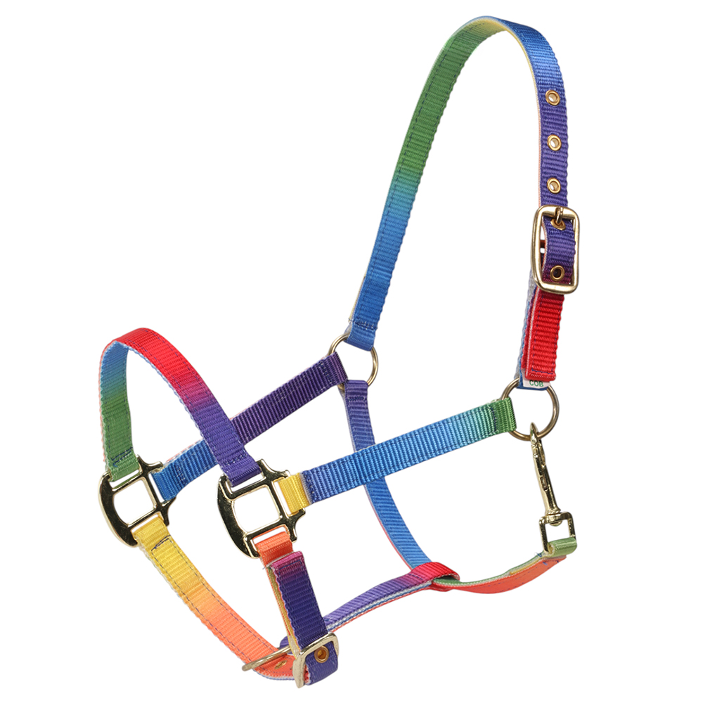 Bambino Rainbow Halter Cob - Saddlery Trading - Saddlery Trading
