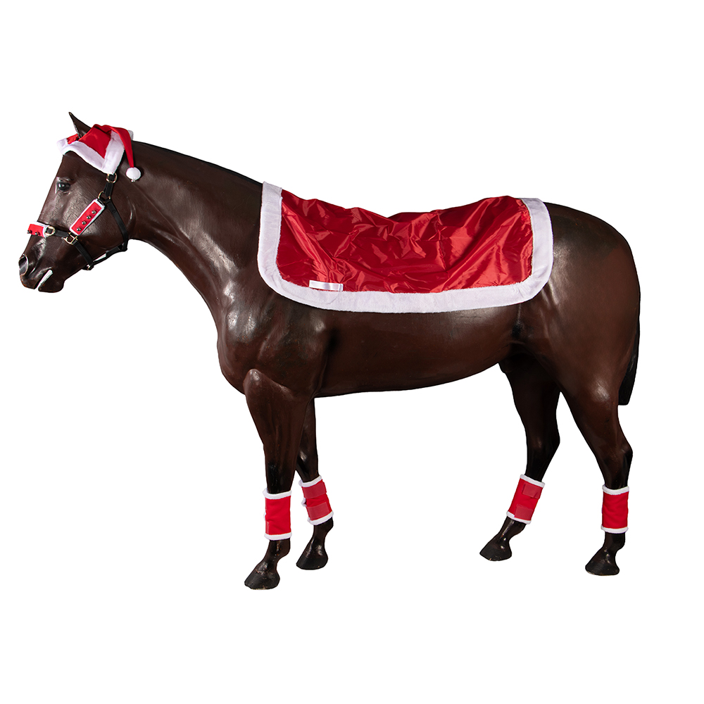 Product Categories - Saddlery Trading