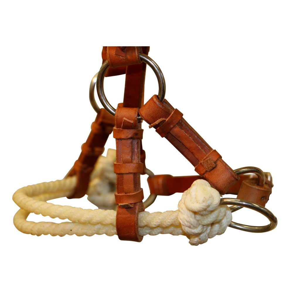 Product Categories - Saddlery Trading